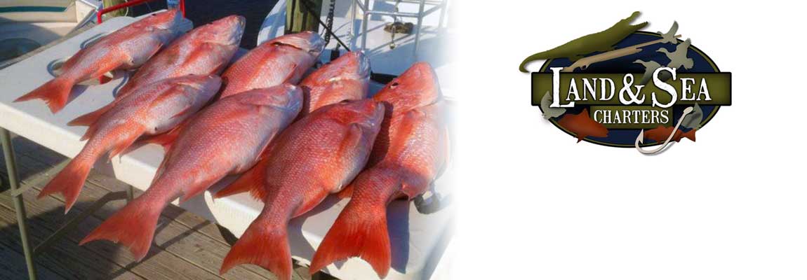 Red Snapper – Land & Sea Charters